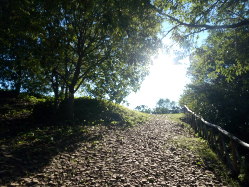 Il Monte dei Cocci o Monte Testaccio - Visite Roma Sotterranea