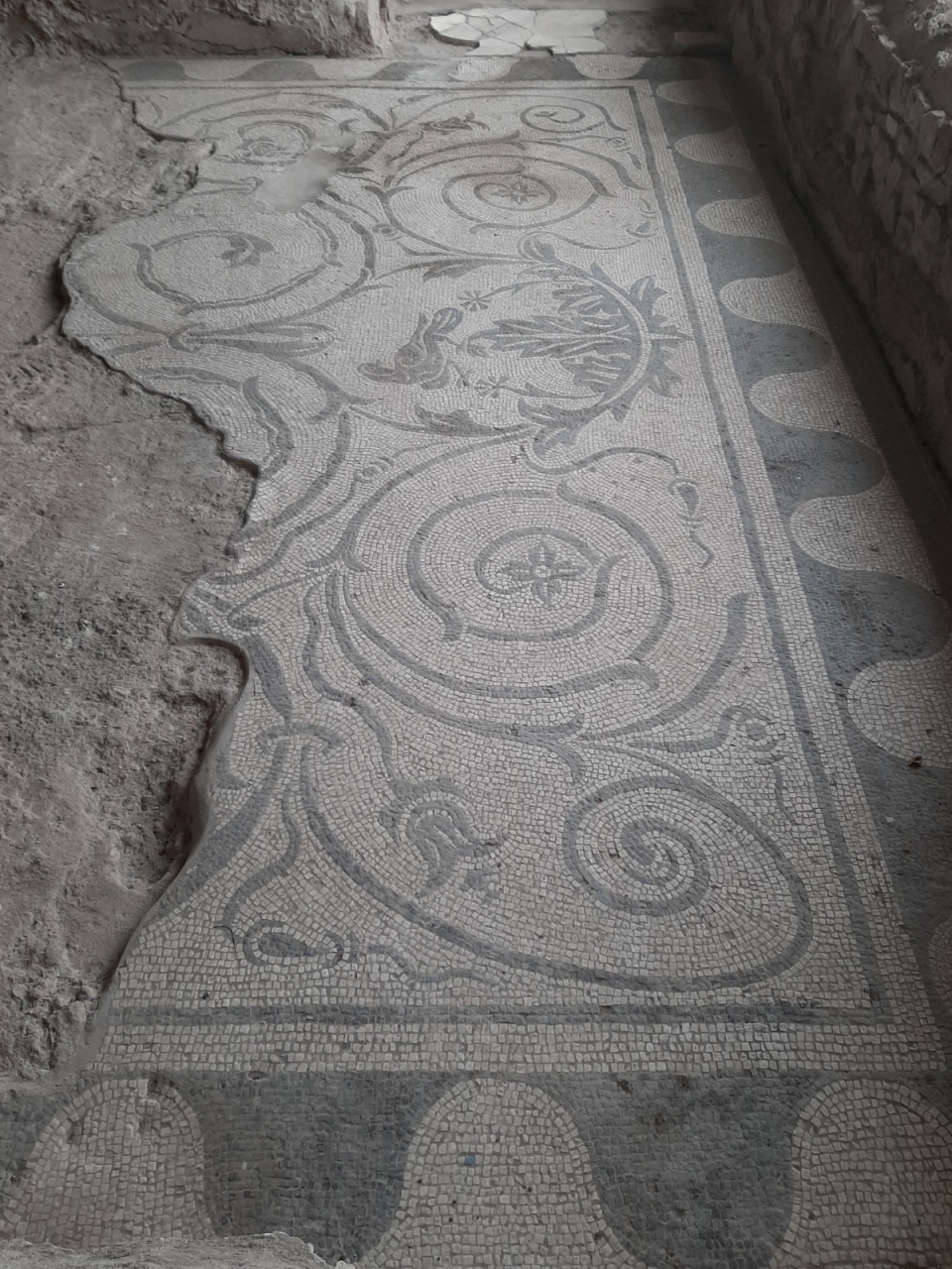 Una meravigliosa residenza di campagna: la Villa di Livia a Prima Porta ...