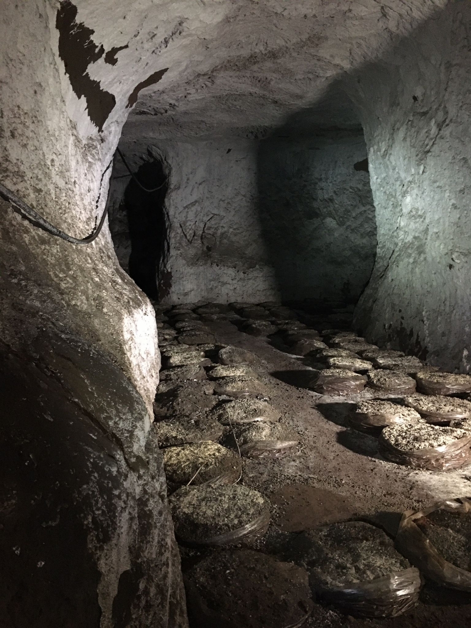 NUOVA APERTURA!! Labirinto Casilino: scopri il luogo sotterraneo più ...