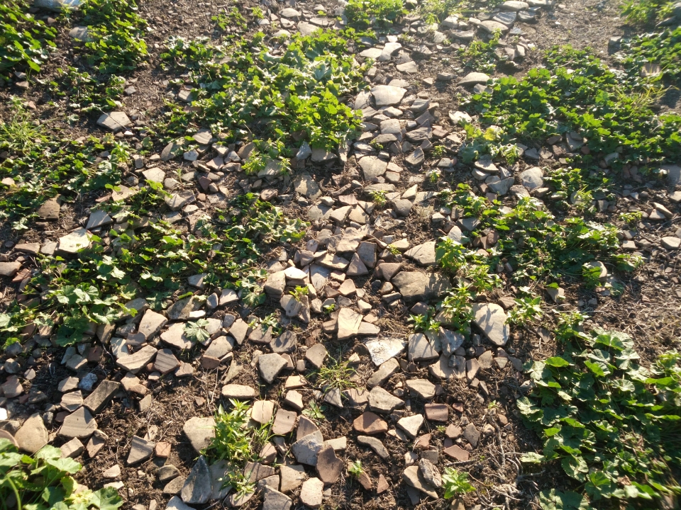 Il Monte dei Cocci o Monte Testaccio - Visite Roma Sotterranea